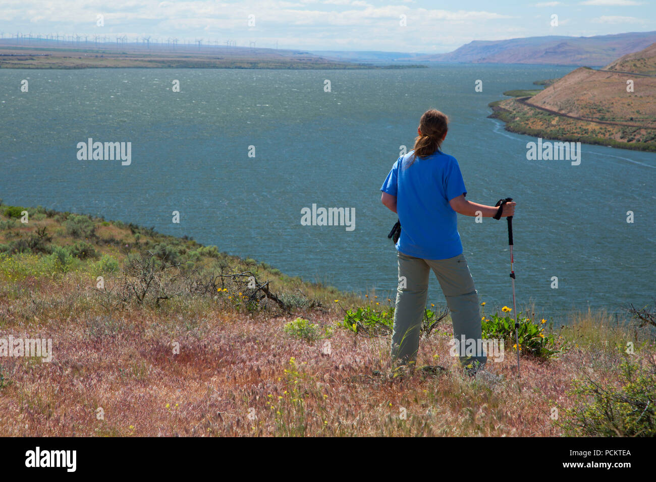 Hiker with Columbia River, Crow Butte Park, Washington Stock Photo - Alamy