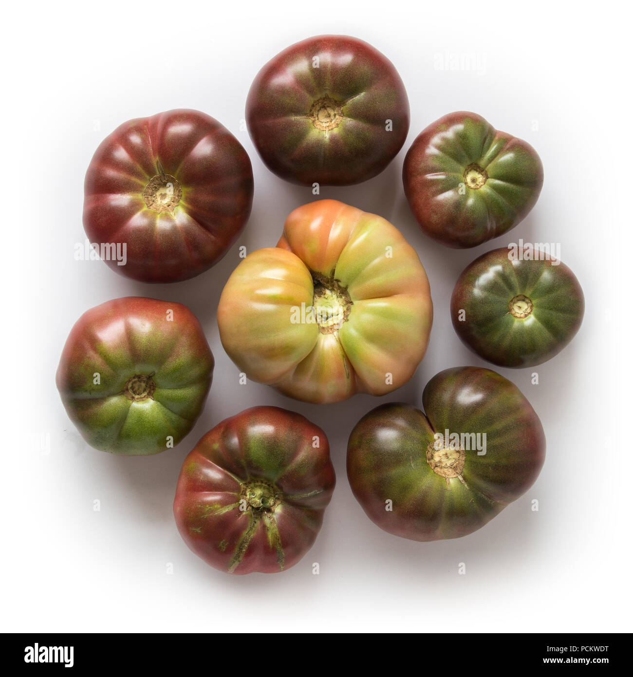 Organic heirloom Brandywine tomatoes in a circle, isolated on white ...