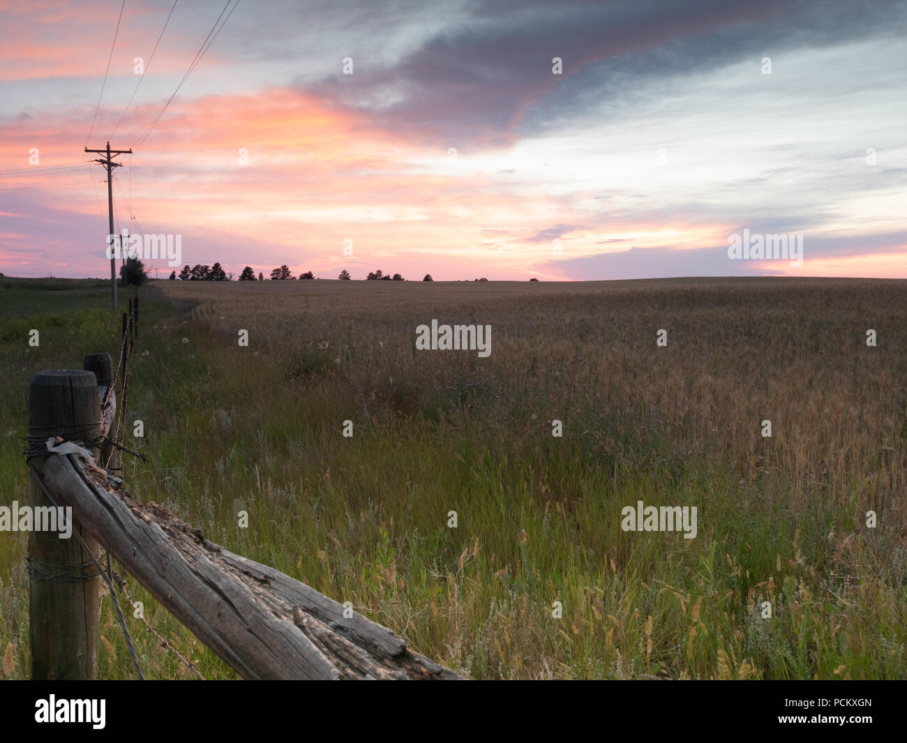 Power poles fence hi-res stock photography and images - Alamy