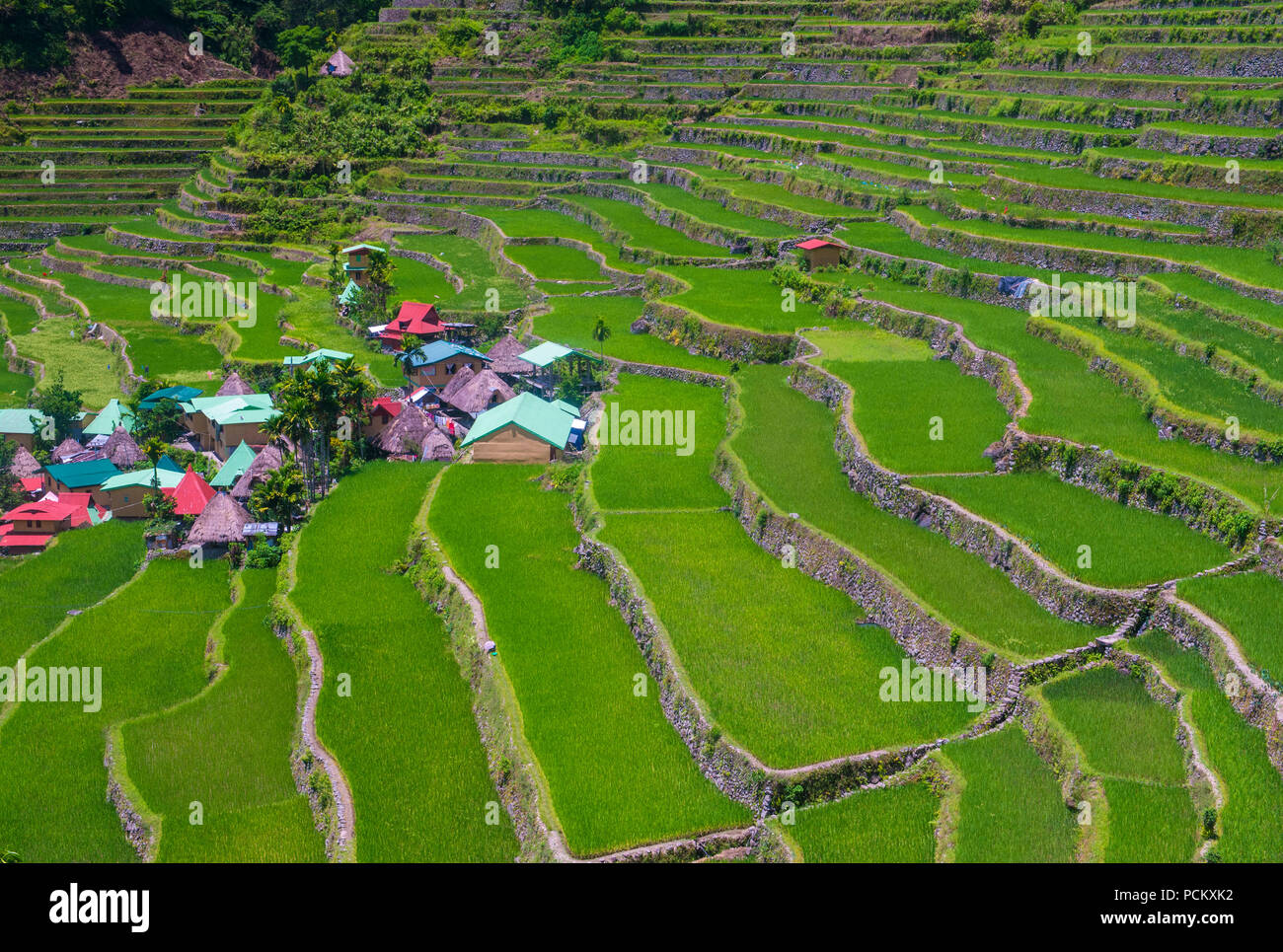 View of rice terraces fields in Banaue, Philippines. The Banaue rice ...