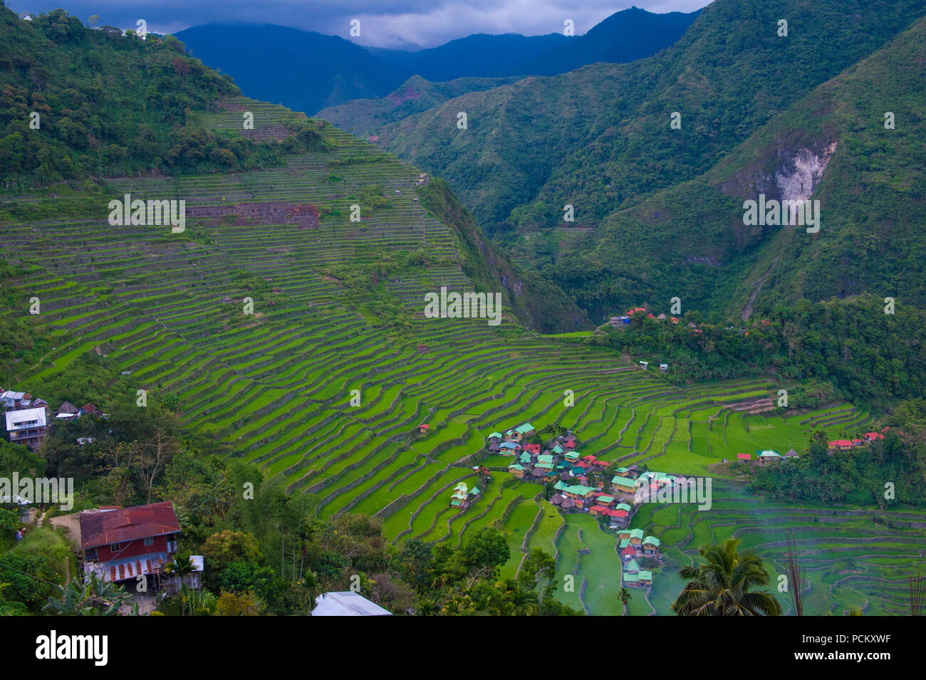 View of rice terraces fields in Banaue, Philippines. The Banaue rice ...
