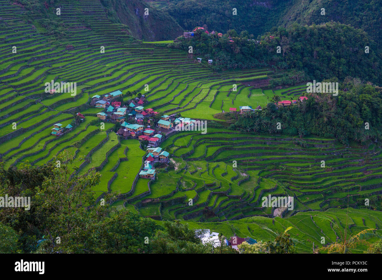 View of rice terraces fields in Banaue, Philippines. The Banaue rice ...