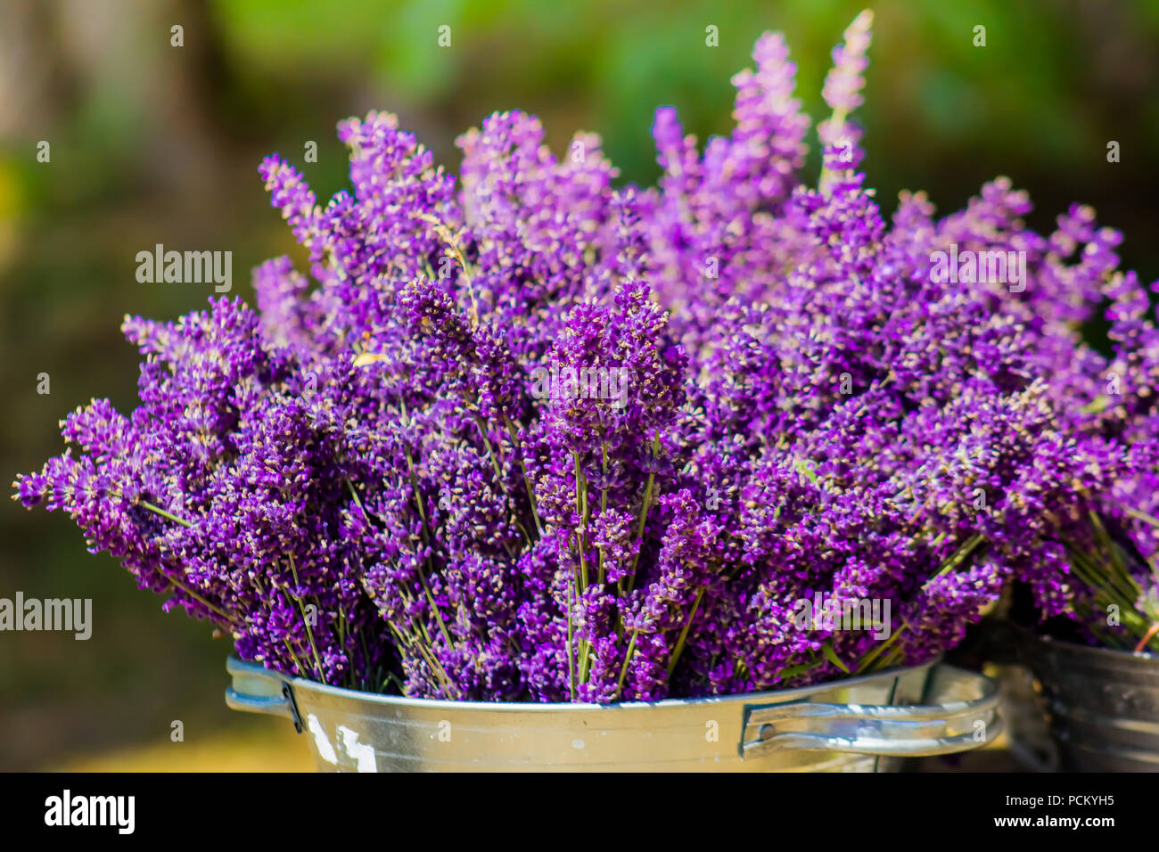 Lavender bouquet hi-res stock photography and images - Alamy