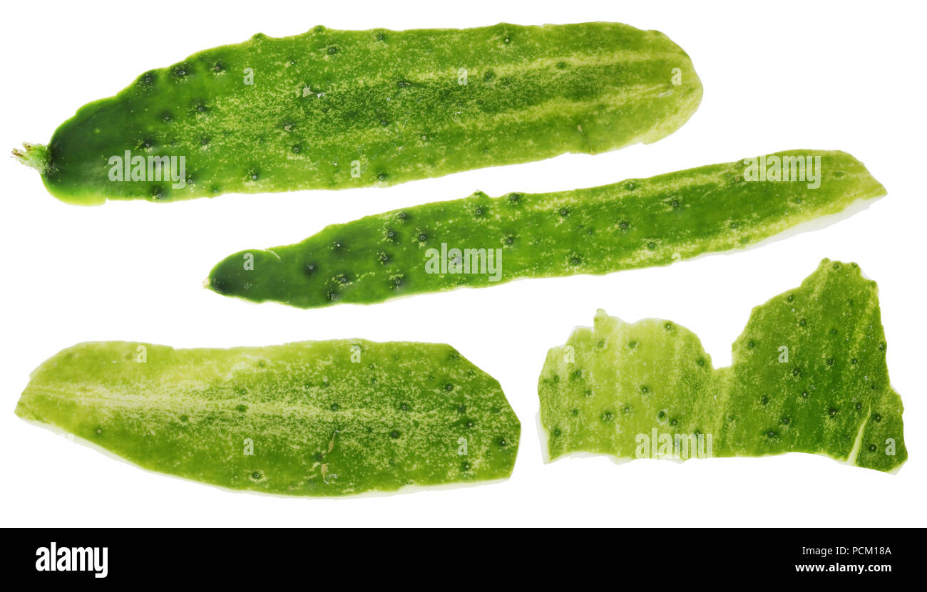 Green cucumber skin peel Cut Out Stock Images & Pictures - Alamy