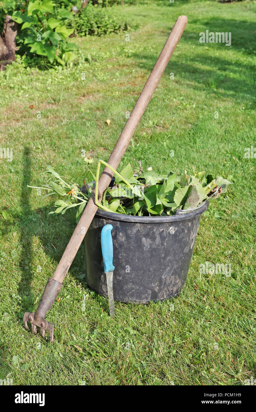 Weed bucket hi-res stock photography and images - Alamy