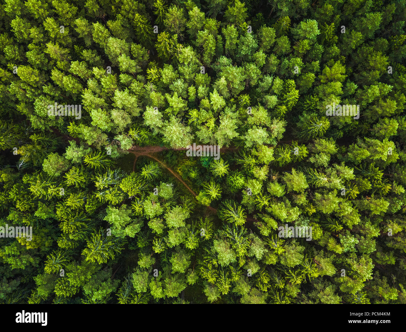 Aerial view image of the forest pattern Stock Photo - Alamy