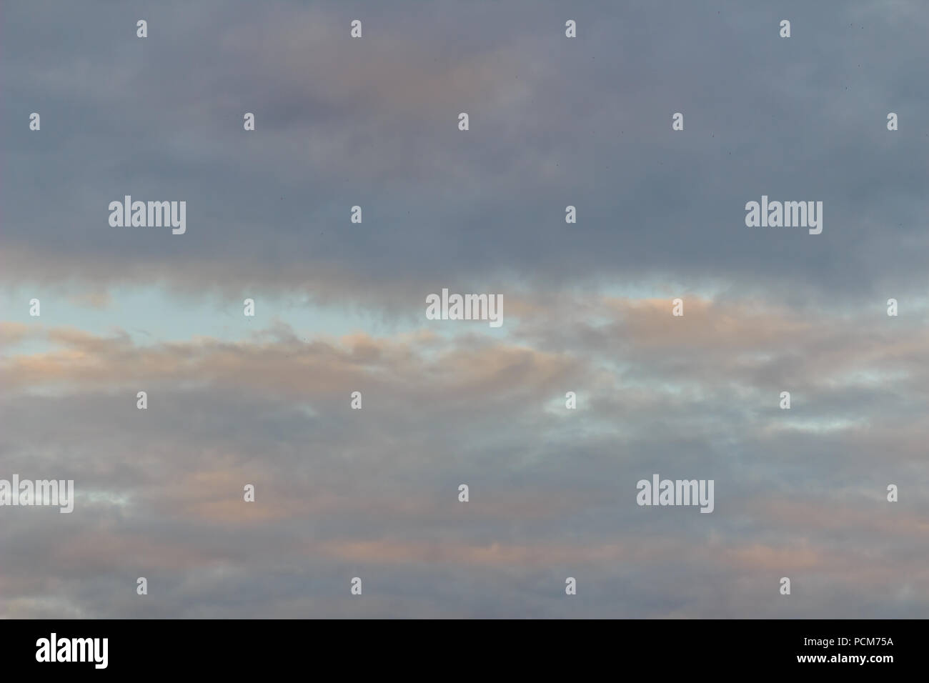 Opaque sky in the evening background. Look so sad sky Stock Photo - Alamy