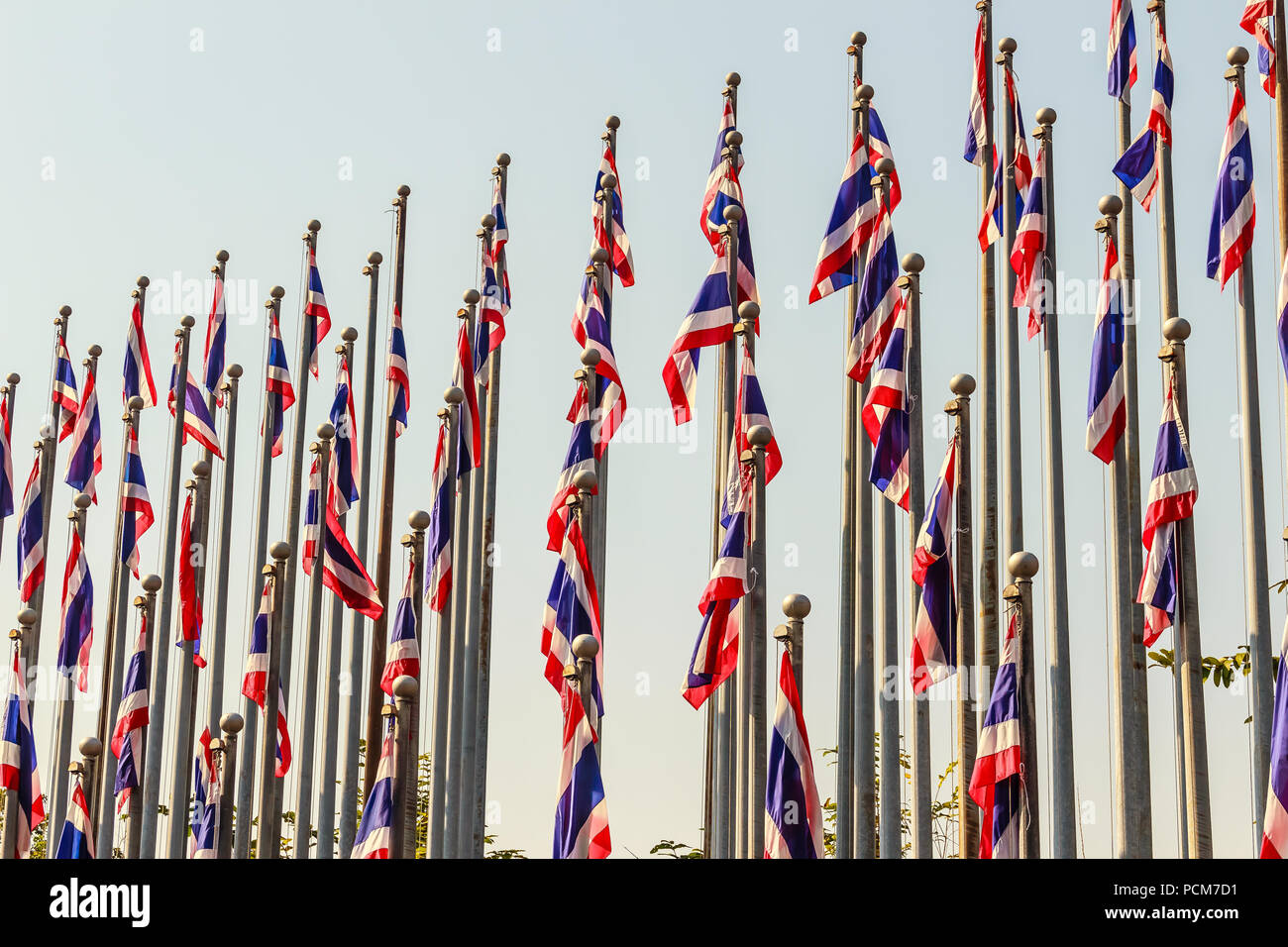 Beautiful view of Thai national flags on the poles at the Queen Sirikit ...