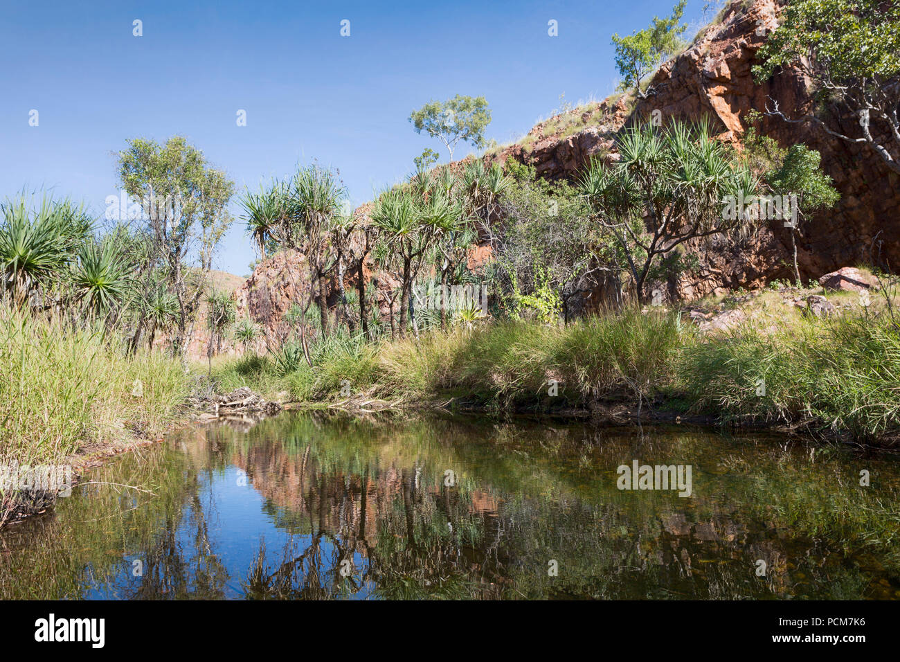 Water hole billabong hi-res stock photography and images - Alamy