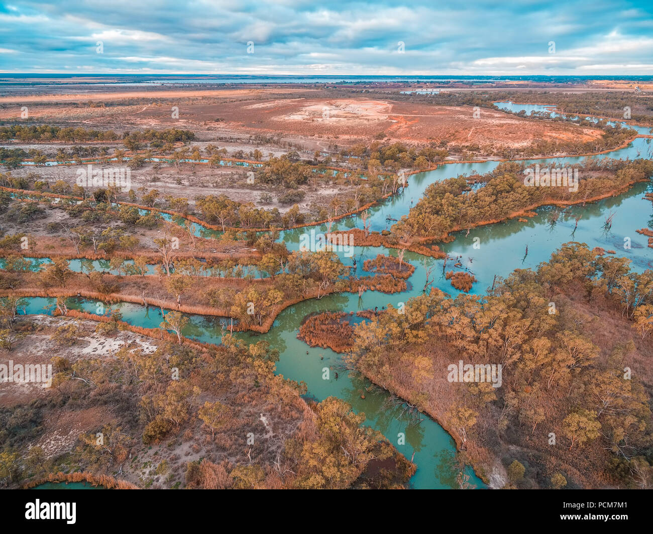 Beautiful meanders of Murray RIver among gum trees. Iconic South ...