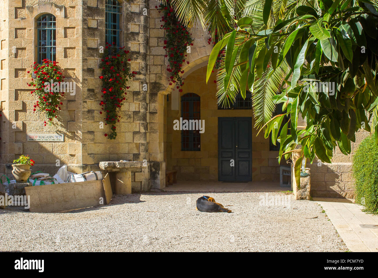 The Abu Ghosh's Benedictine Church of the Resurrection located at what ...