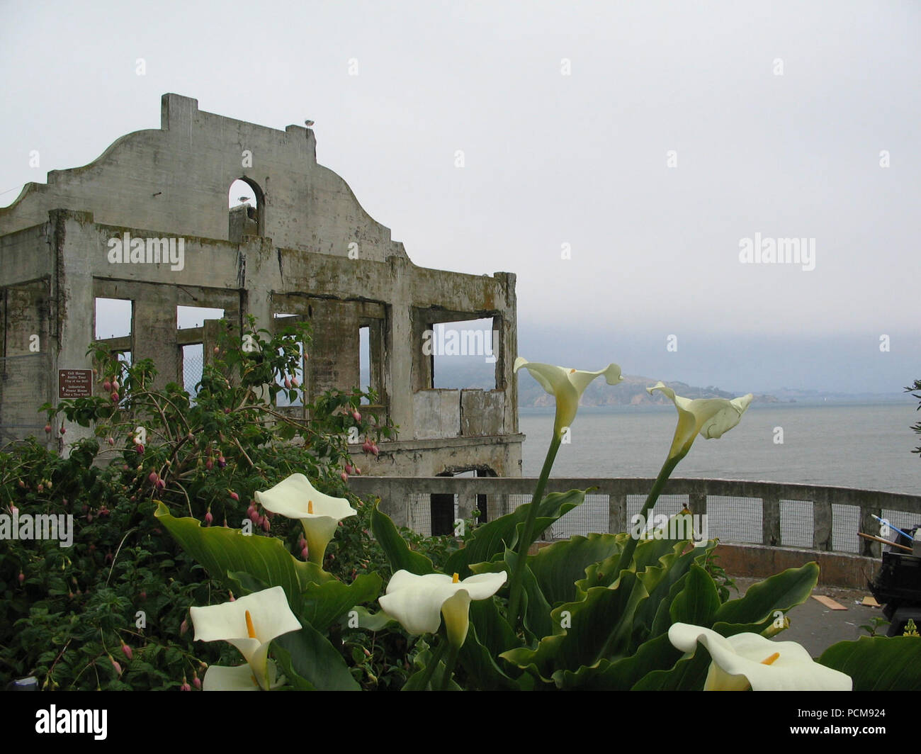 Alcatraz Island Flowers Stock Photo - Alamy