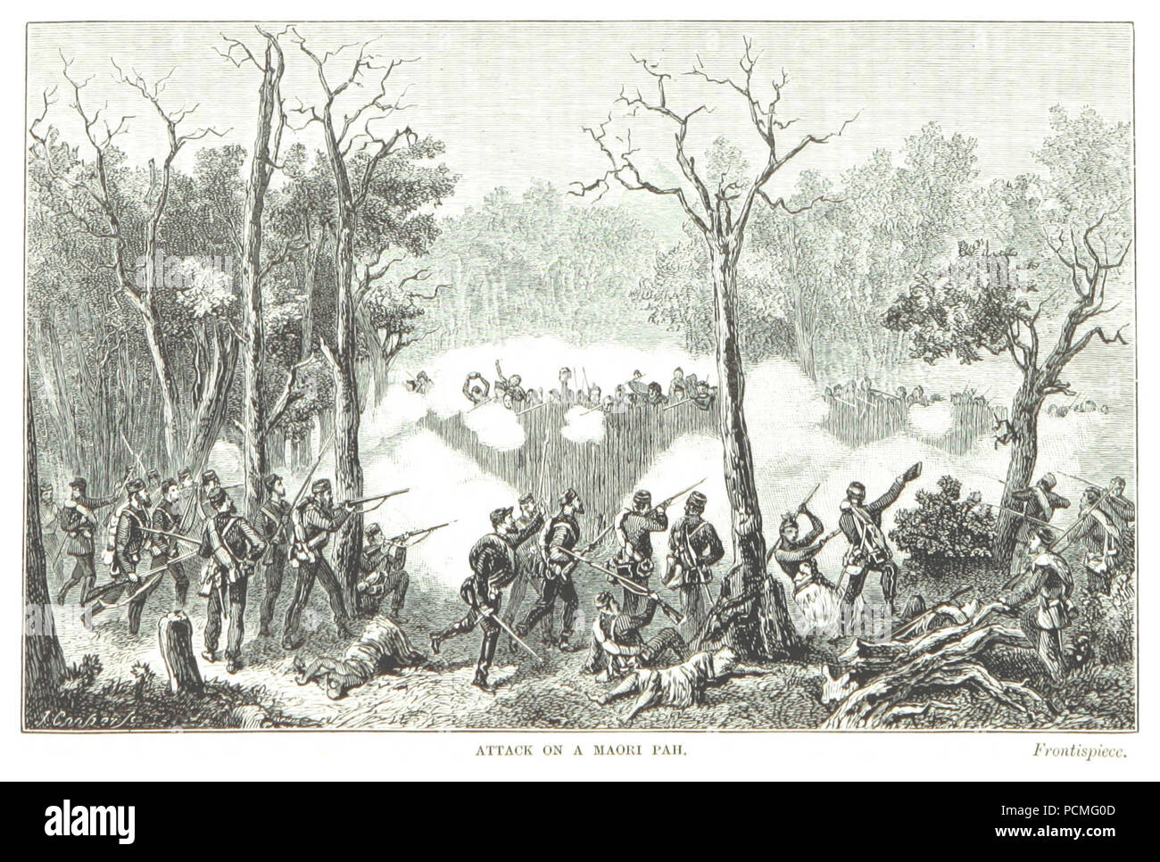 ALEXANDER(1873) p010 ATTACK ON A MAORI PAH Stock Photo - Alamy
