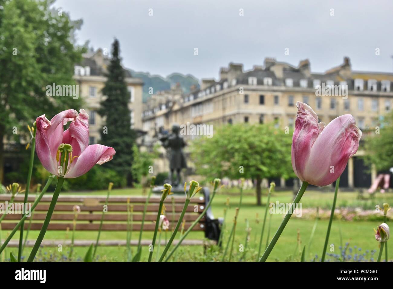 A view of Bath, Somerset, United Kingdom. Featuring the Roman Baths ...