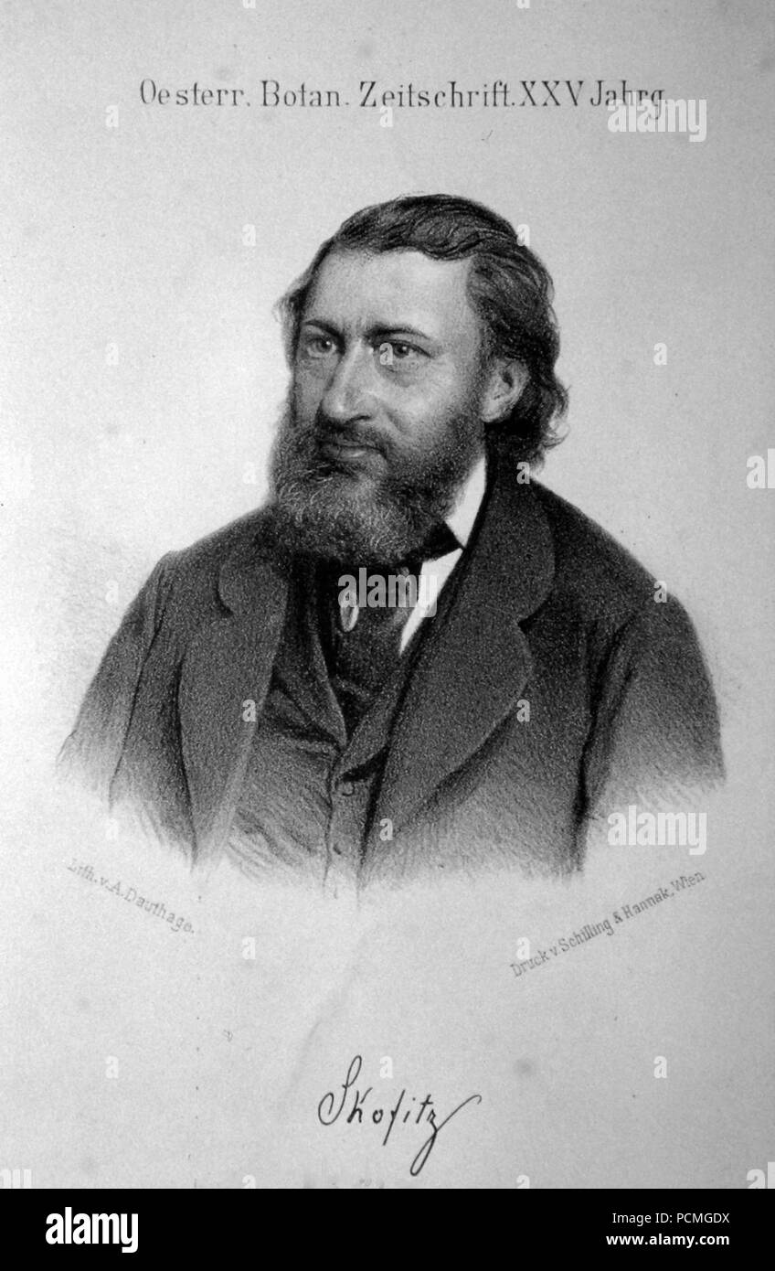Alexander Skofitz Litho Stock Photo - Alamy