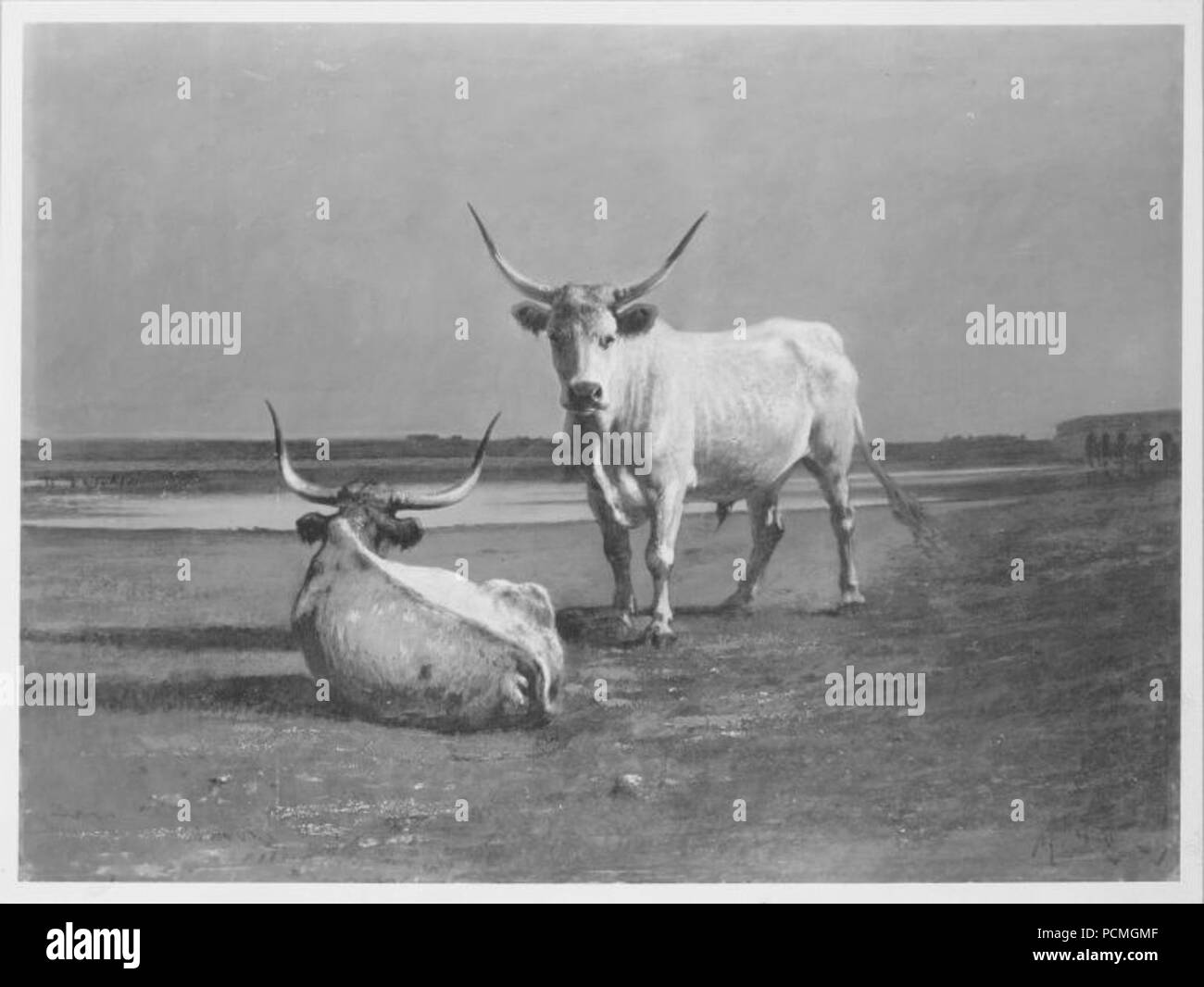 Alexander von Wagner - Zwei Rinder in der Puszta - 8325 Stock Photo - Alamy