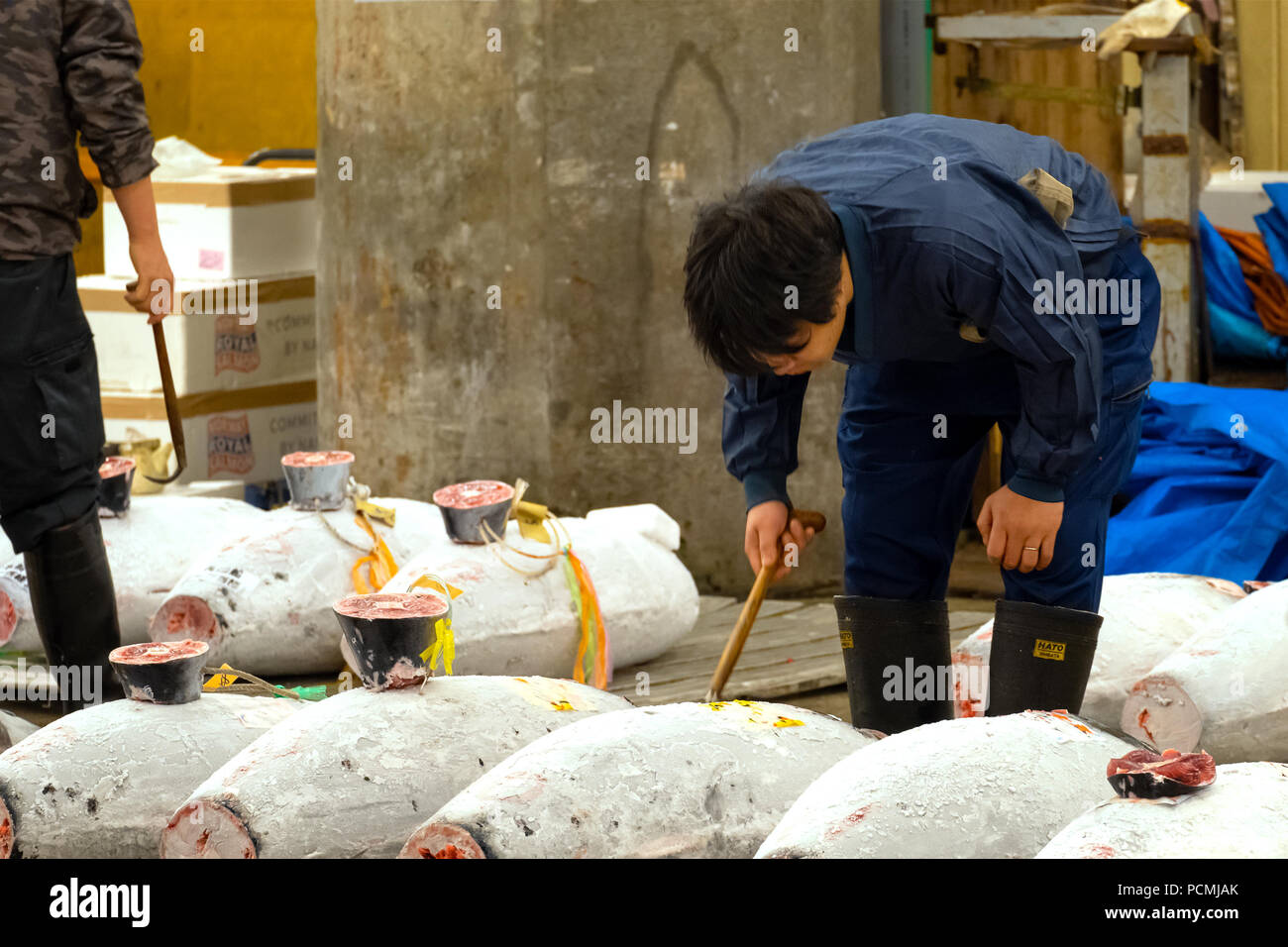 TOKYO, JAPAN - APRIL 26 2018: The auction at the inner area of Tsukiji ...