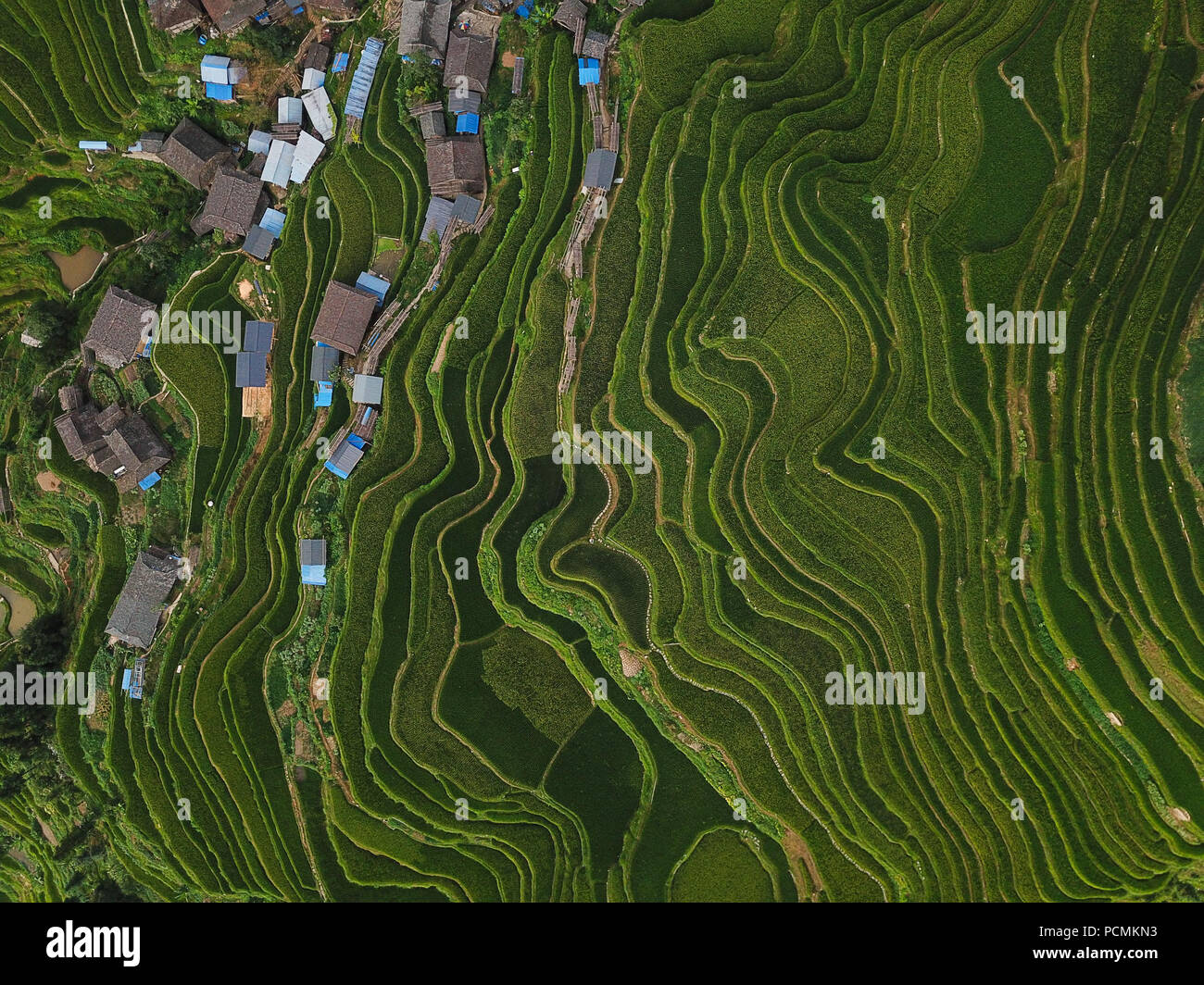 Congjiang, Congjiang, China. 3rd Aug, 2018. Congjiang, CHINA-Aerial ...