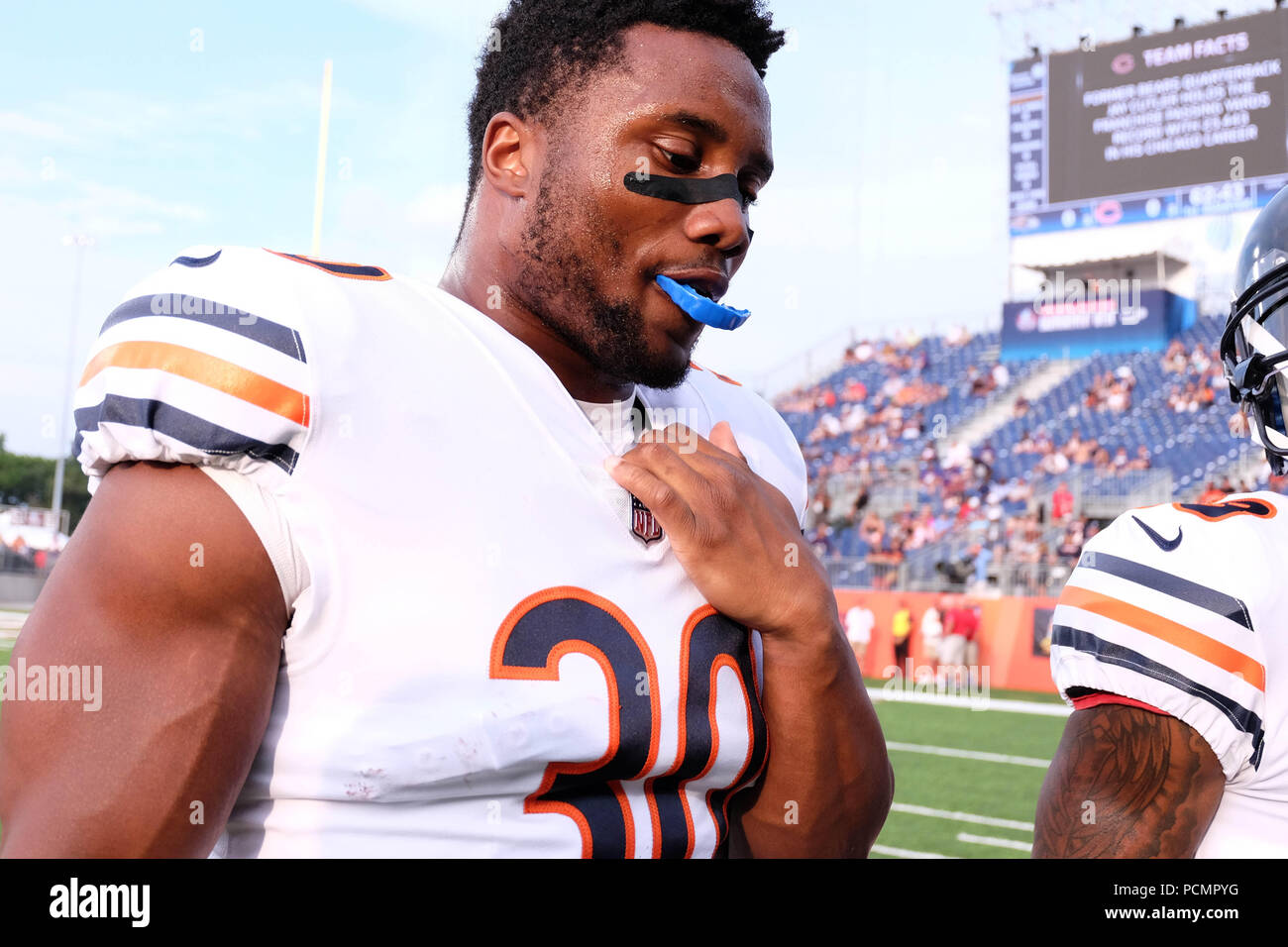 Benny cunningham bears hi-res stock photography and images - Alamy