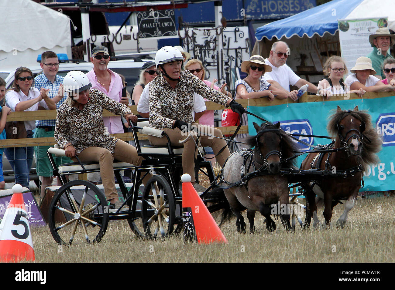 Pistol pete hi-res stock photography and images - Alamy