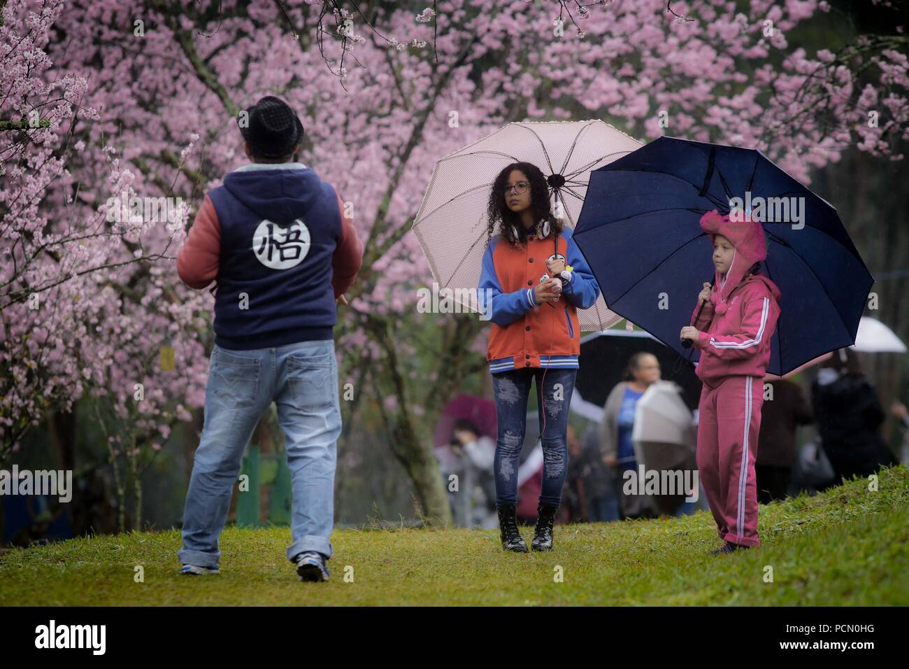 Sao Paulo, Brazil. 3rd Aug, 2018. People enjoy the cherry blossoms that ...