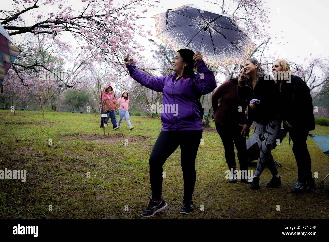 Sao Paulo, Brazil. 3rd Aug, 2018. People enjoy the cherry blossoms that ...