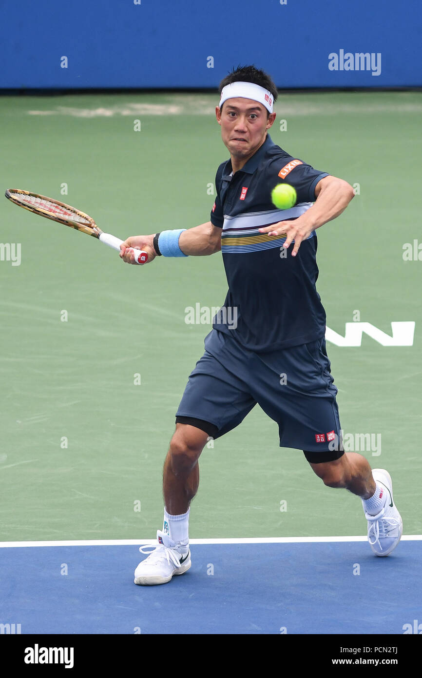 Washington, DC, USA. 3rd Aug, 2018. KEI NISHIKORI hits a forehand ...