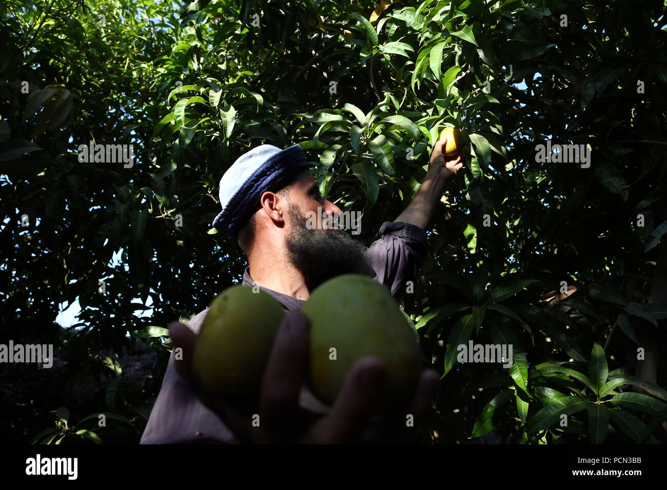 Monofya hi-res stock photography and images - Alamy