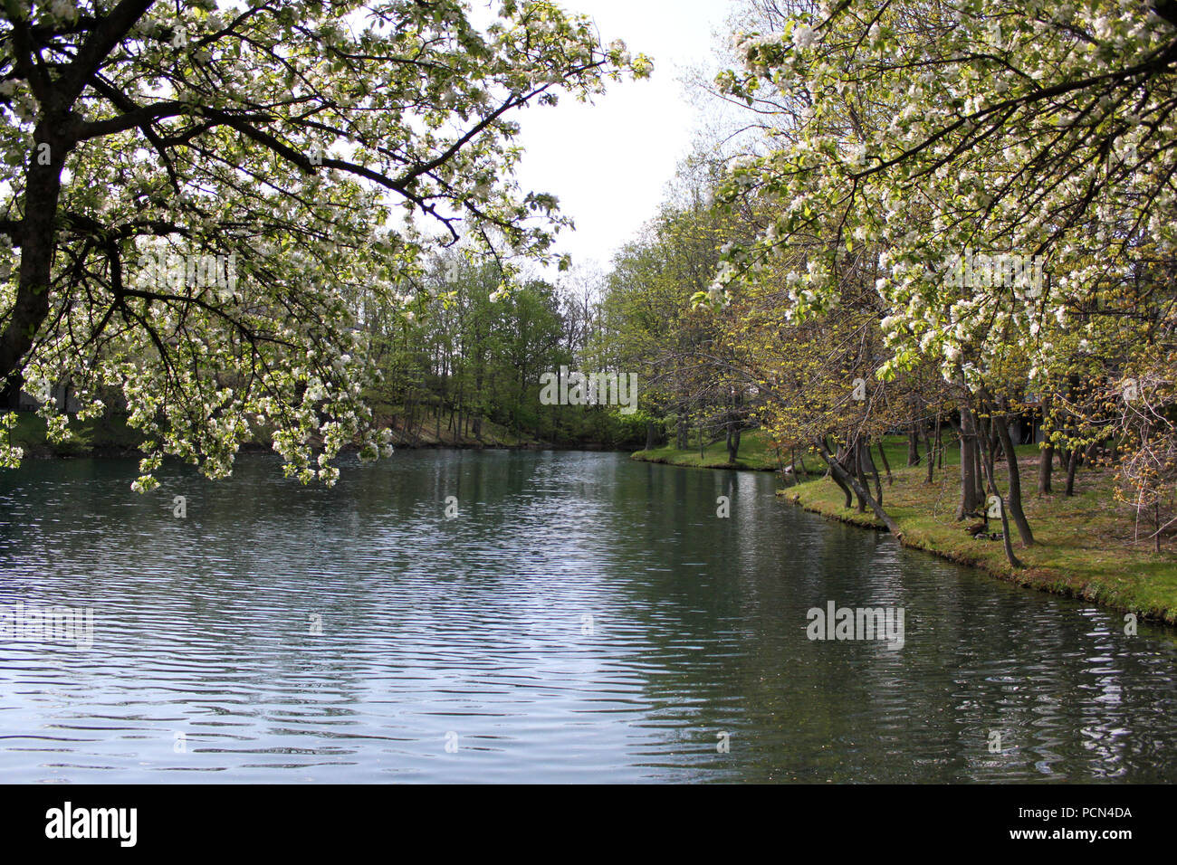 Lake reflecting the spring colors in Kentucky Stock Photo - Alamy