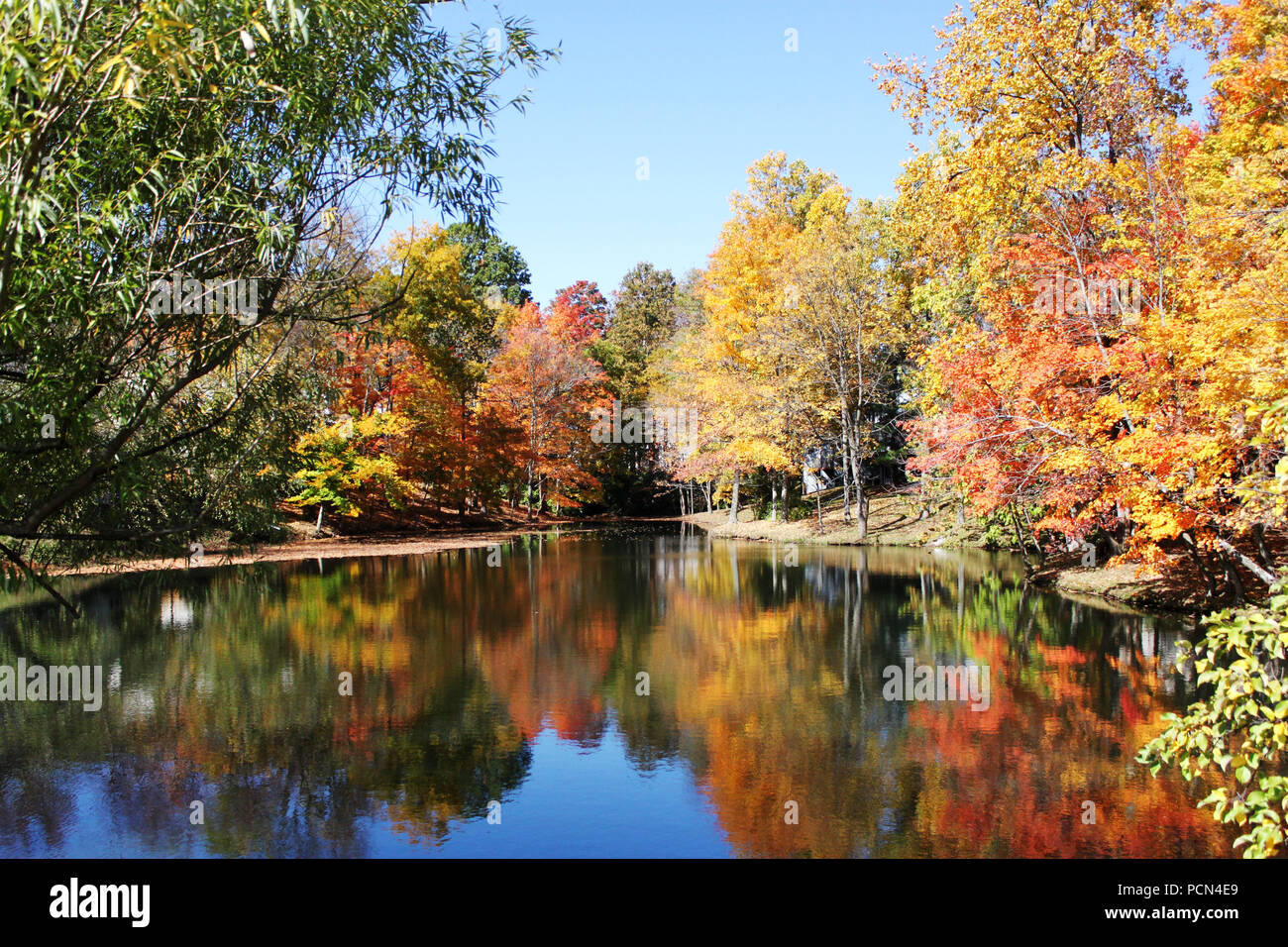 Lake reflecting the spring colors in Kentucky Stock Photo - Alamy