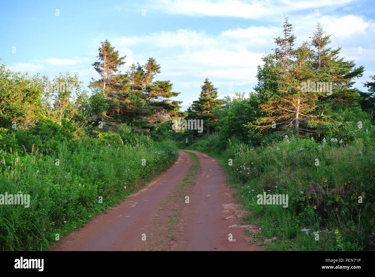 Red road, path through the woods to a beach on Prince Edward Island ...
