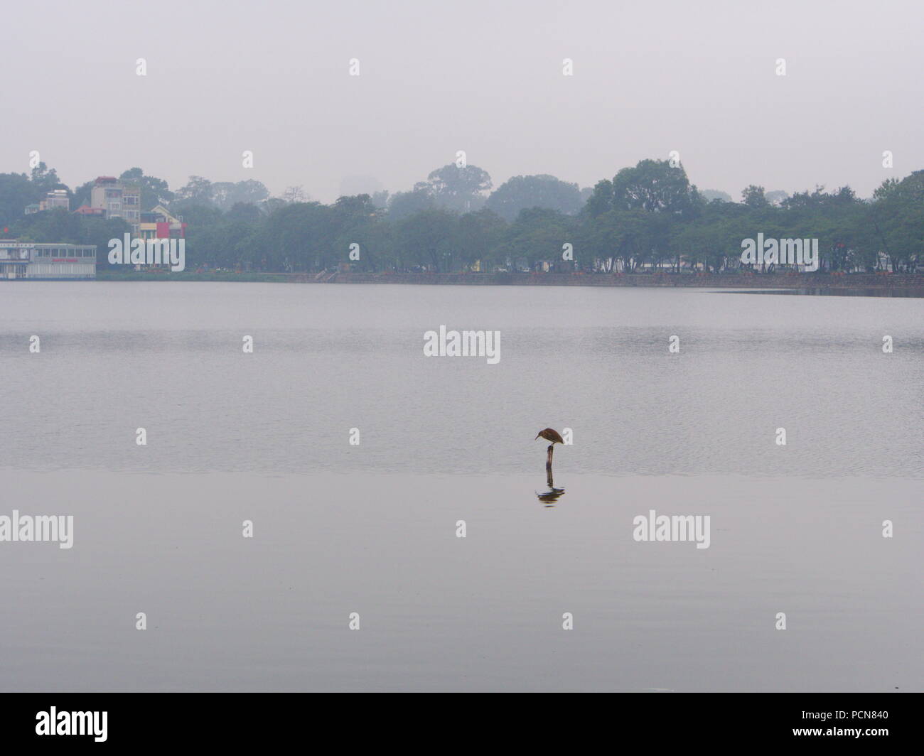 Fishing in ho tay lake hi-res stock photography and images - Alamy