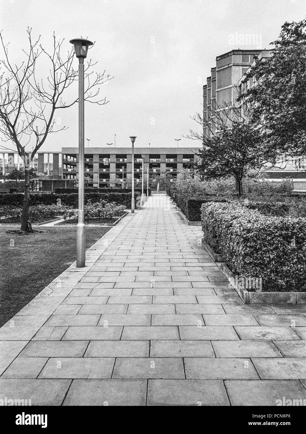 Croydon Fairfield Gardens 1980 Stock Photo - Alamy
