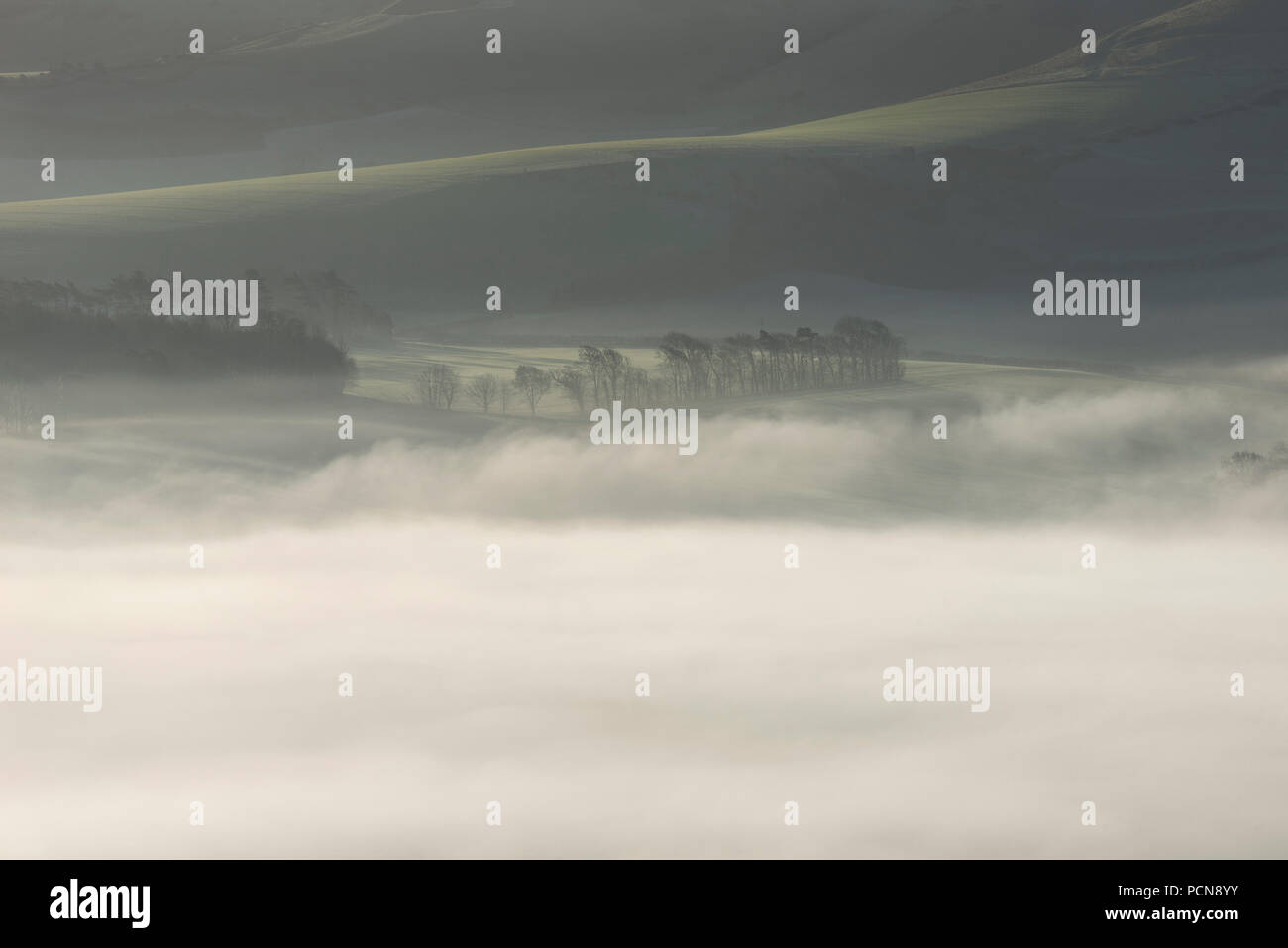 Beautiful foggy English countryside landscape at sunrise in Winter with ...