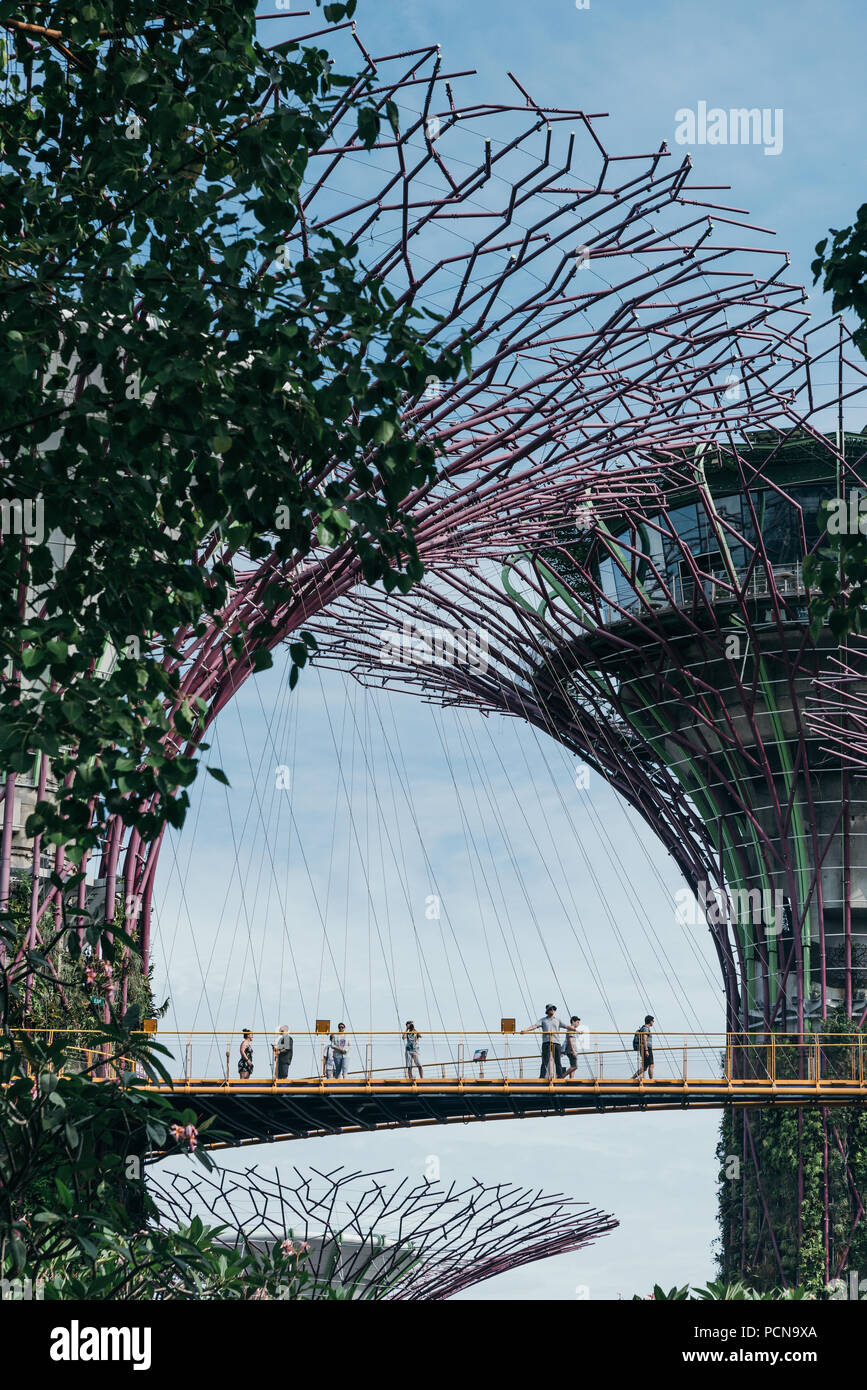 Canopy walk hi-res stock photography and images - Alamy