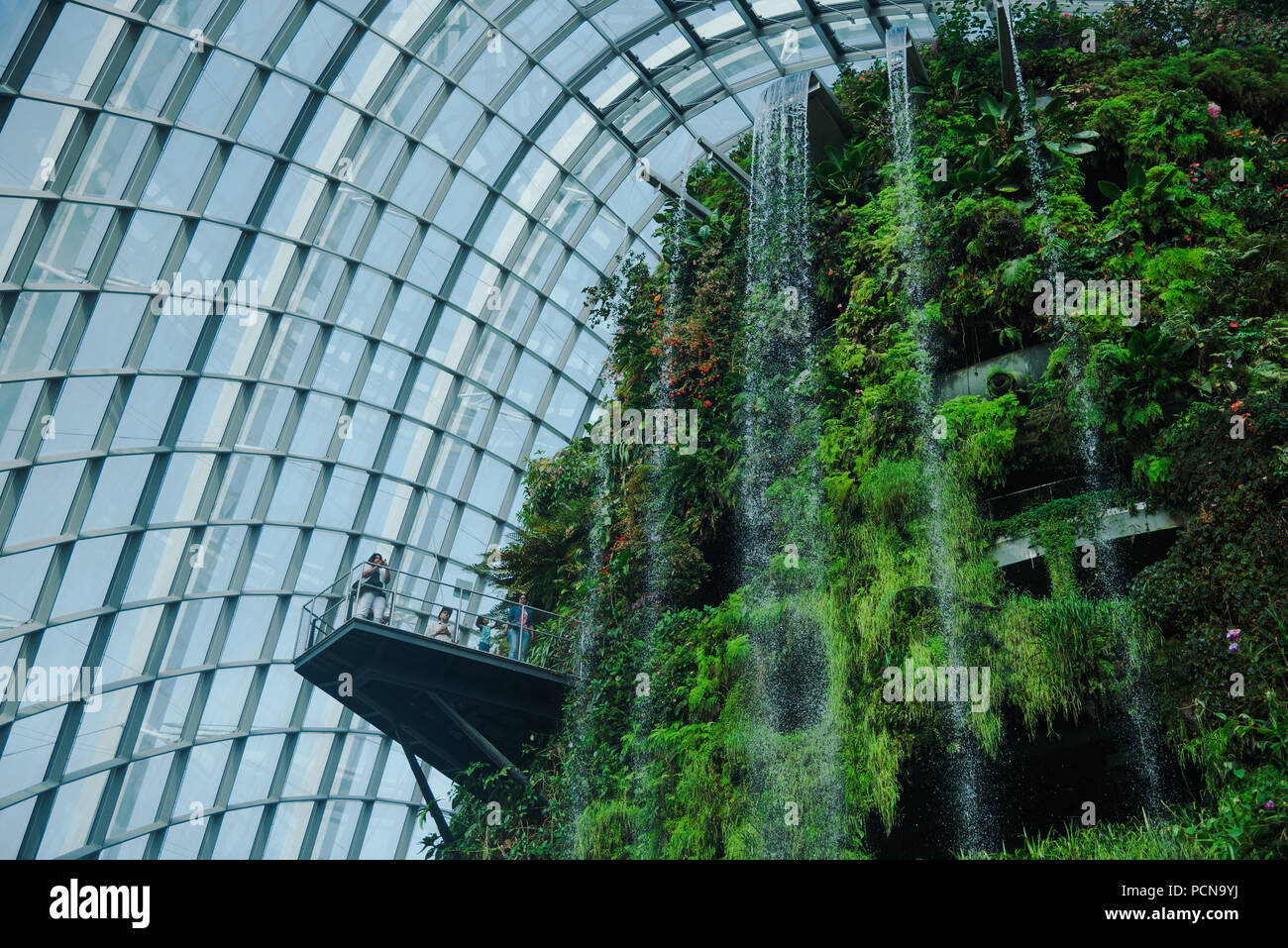 Tropical waterfall with viewpoint cliff in Cloud forest dome. Gardens ...