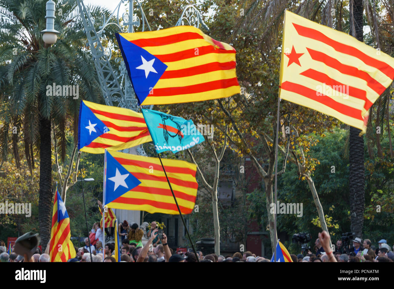 catalan independentist flag. Estelada, close up during manifestation Stock Photo - Alamy