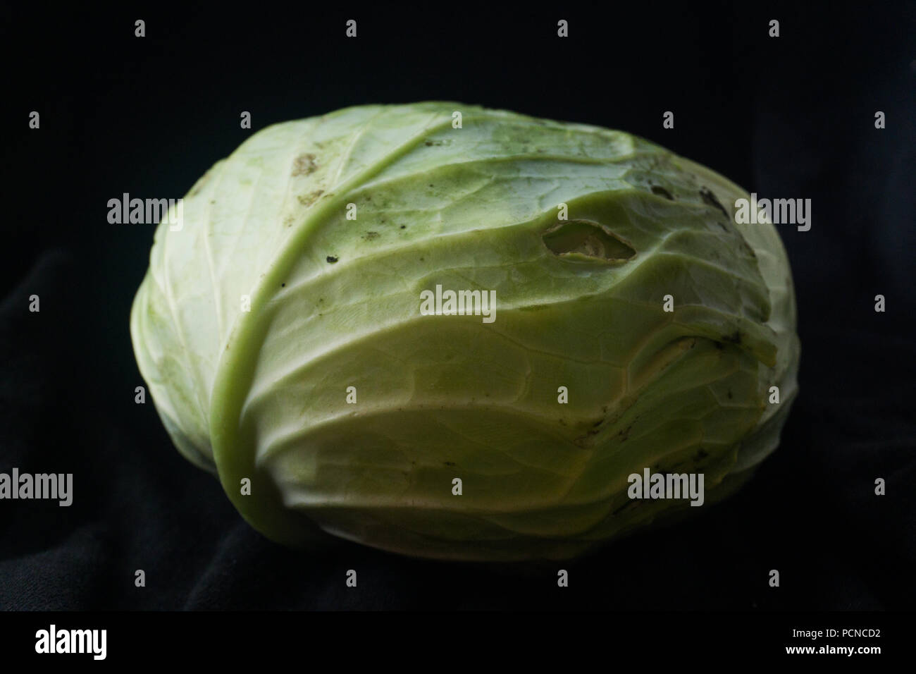 Head cabbage fresh ground hi-res stock photography and images - Alamy
