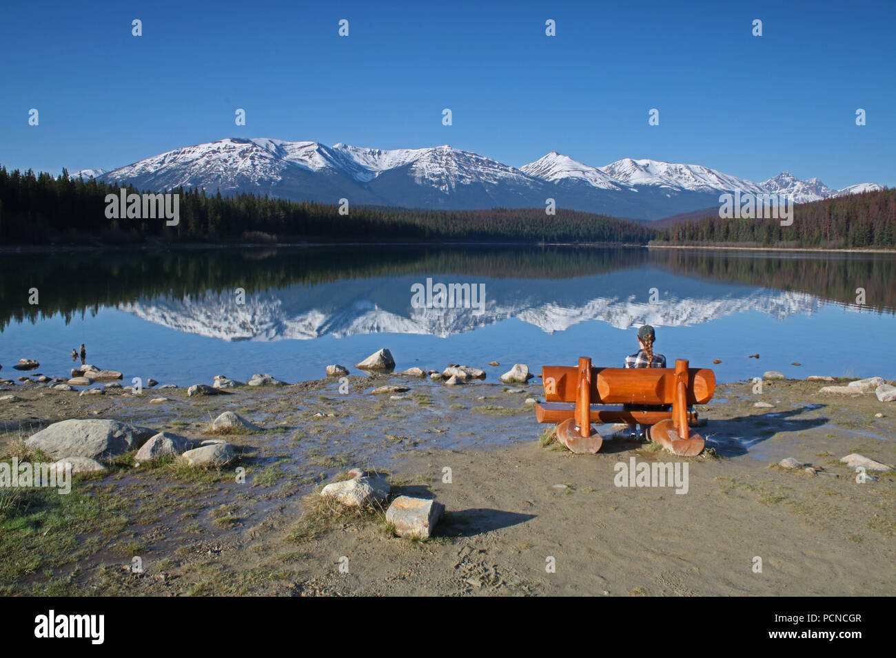 Log bench hi-res stock photography and images - Alamy
