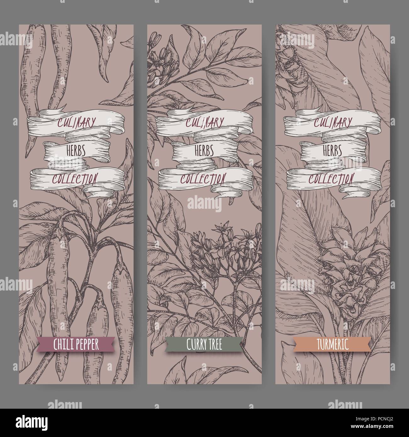 Three labels with chili pepper, curry tree and turmeric sketch Stock ...