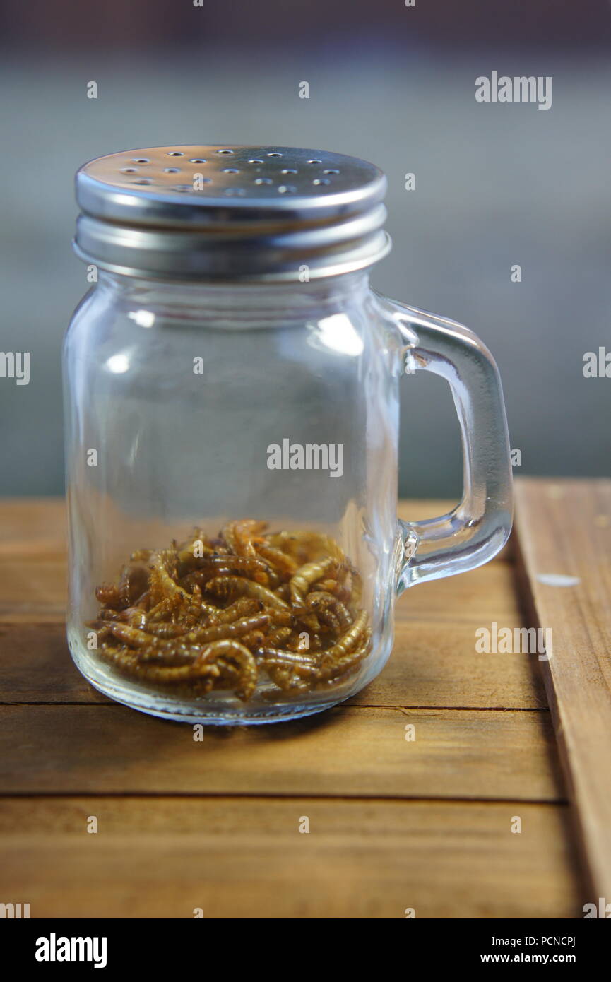 Diet insects and larvae hi-res stock photography and images - Alamy