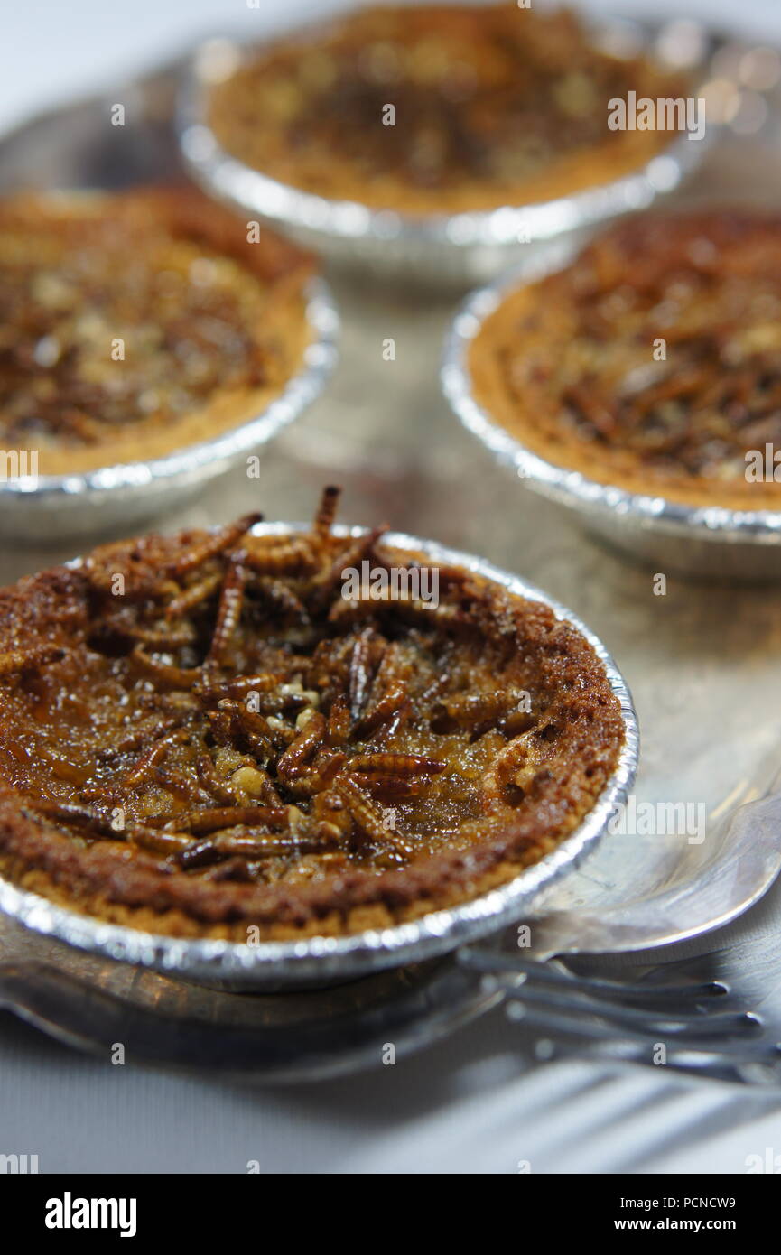Pies with Beetle Larvae baked in, as well as pecans, corn syrup, and ...