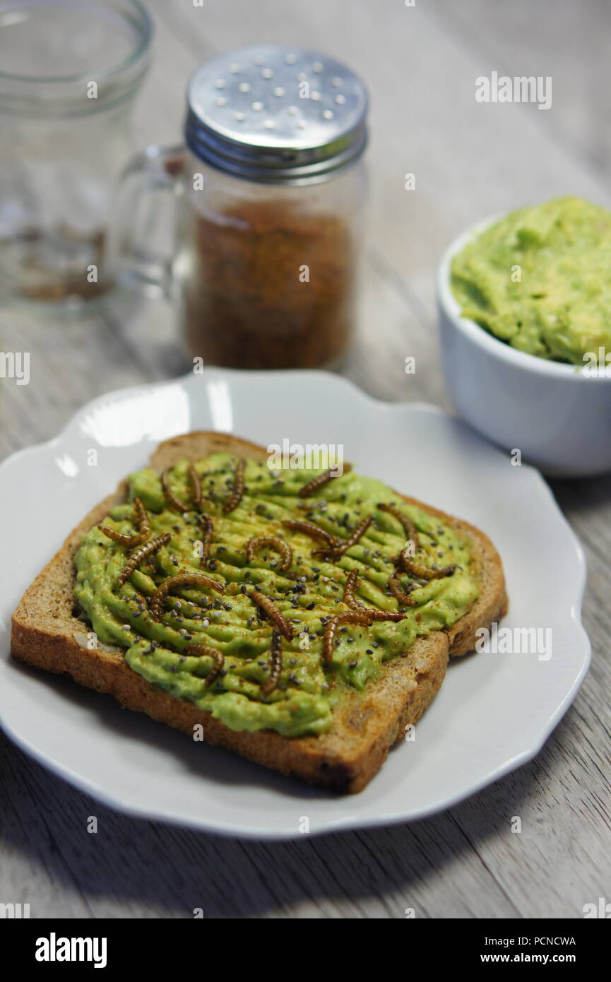 Sustainable breakfast with mealworms as an alternative source of ...