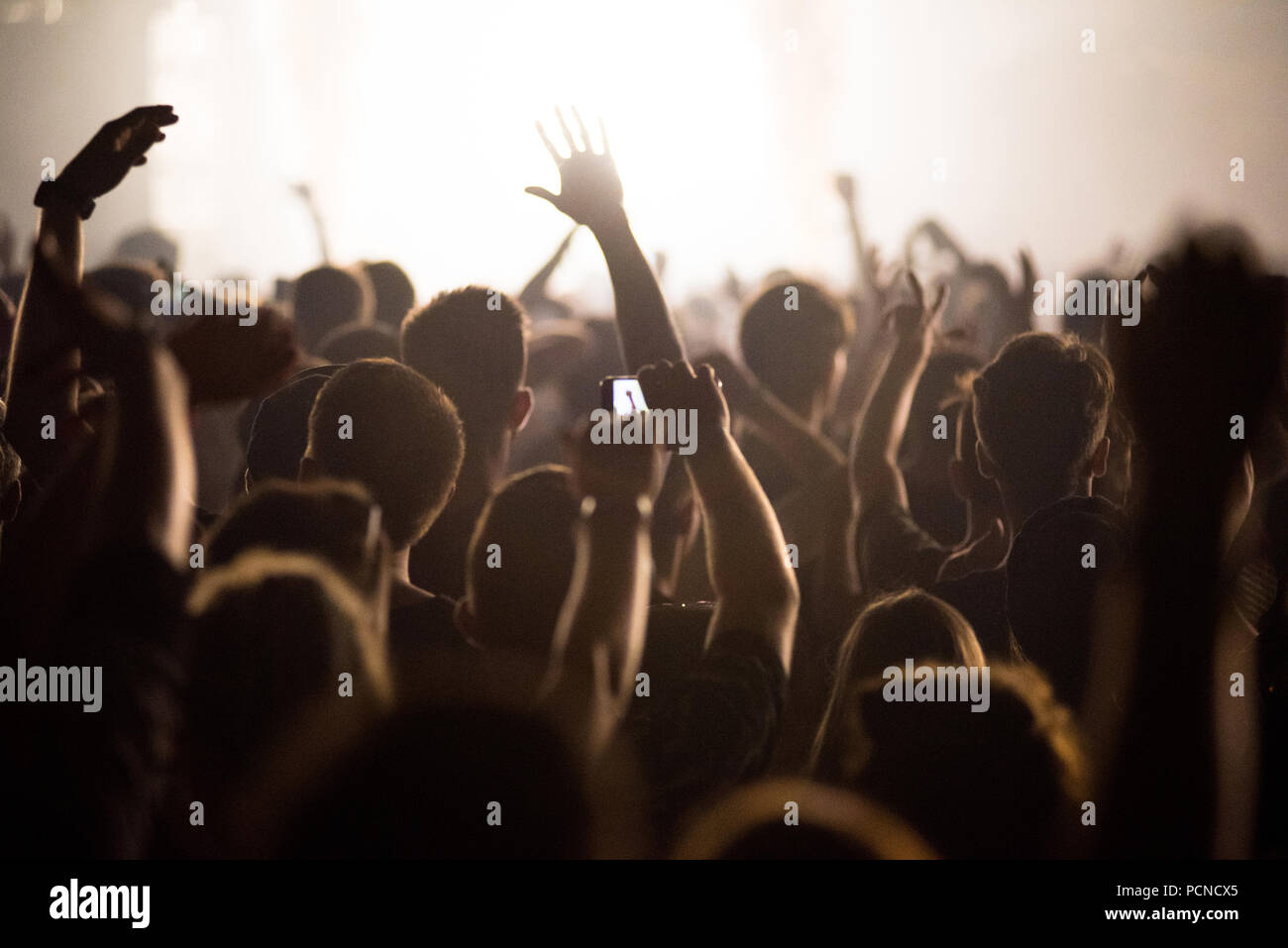 Rear view of festival crowd raising their hands Stock Photo - Alamy