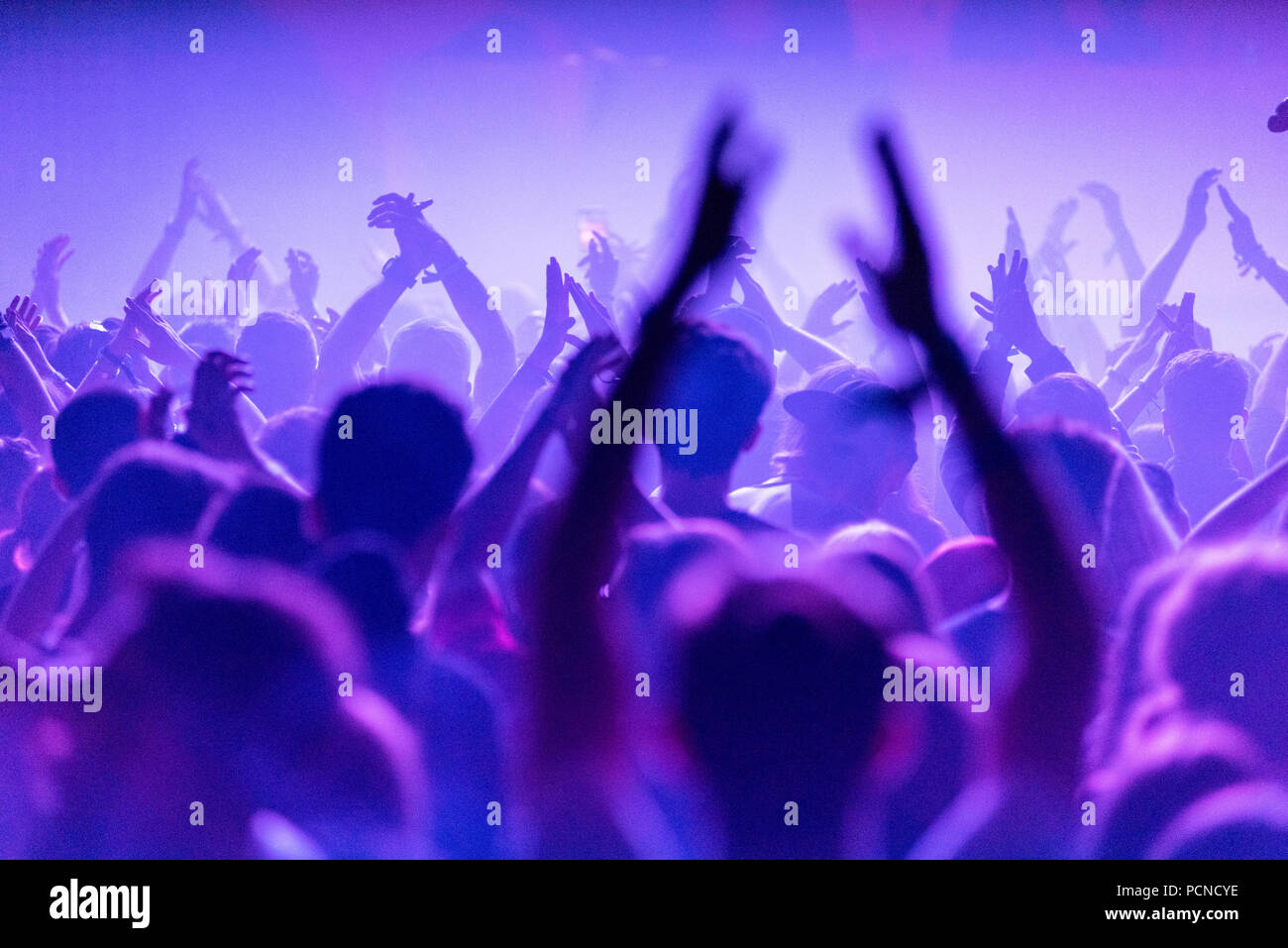 Audience back view concert people music hi-res stock photography and ...