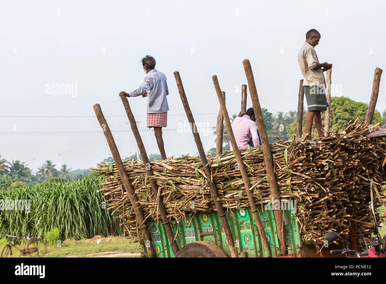 PONDICHERY, PUDUCHERRY, TAMIL NADU, INDIA - SEPTEMBER CIRCA, 2017 ...