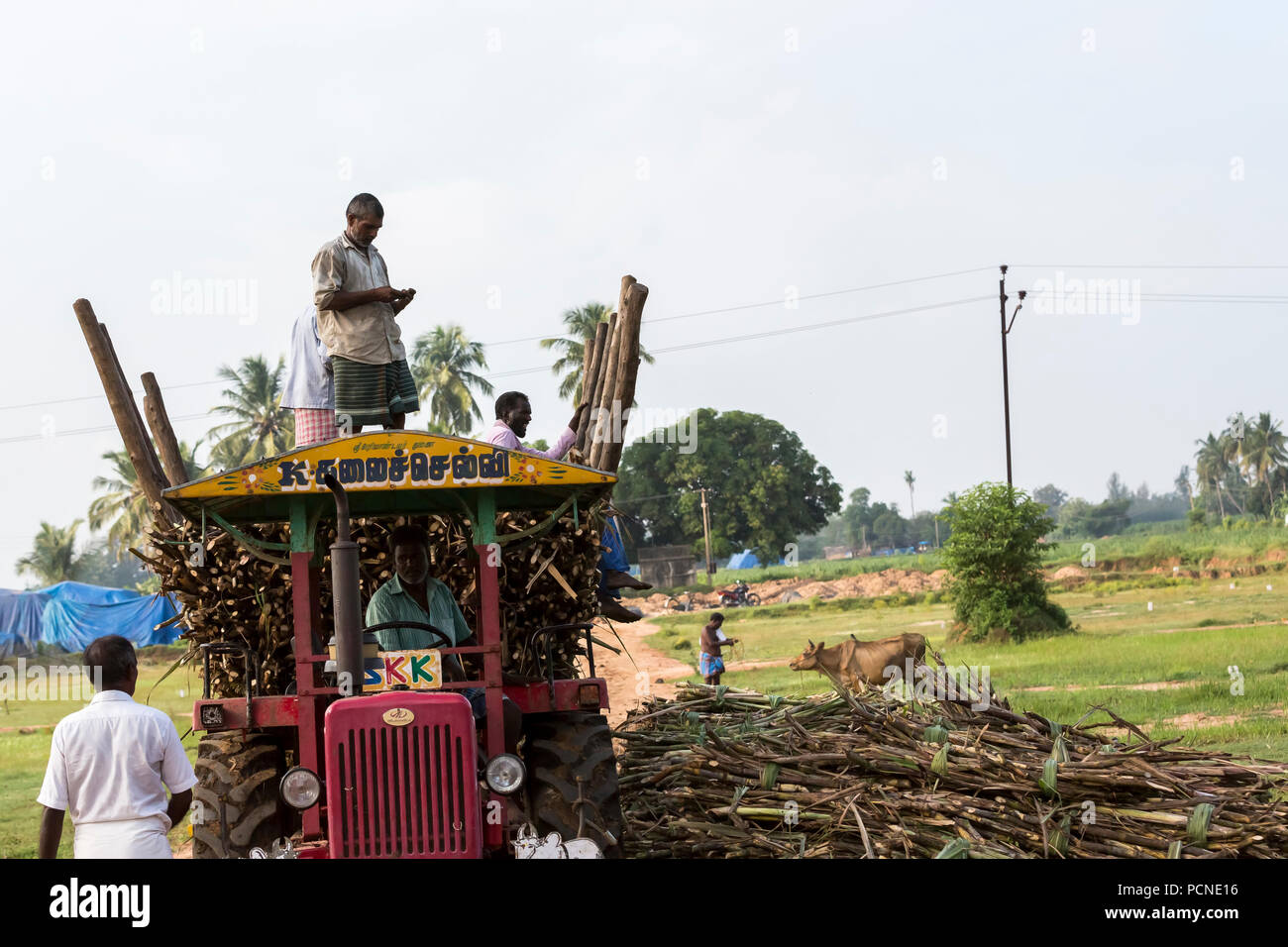 PONDICHERY, PUDUCHERRY, TAMIL NADU, INDIA - SEPTEMBER CIRCA, 2017 ...