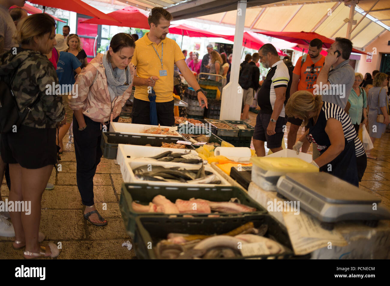Tour group in fish market, Split, Dalmatia, Croatia Stock Photo - Alamy