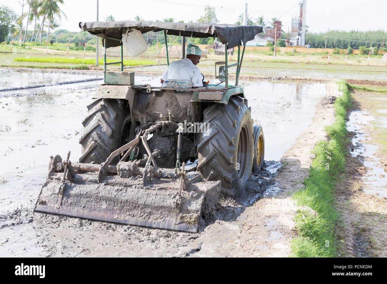 Indian man ploughing a field with cattle hi-res stock photography and ...