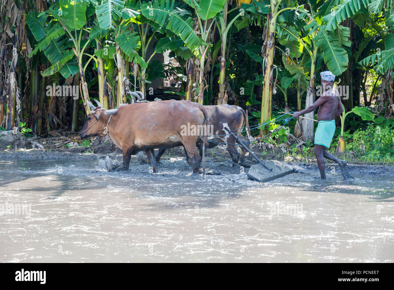 PONDICHERY, PUDUCHERRY, TAMIL NADU, INDIA - SEPTEMBER CIRCA, 2017 ...